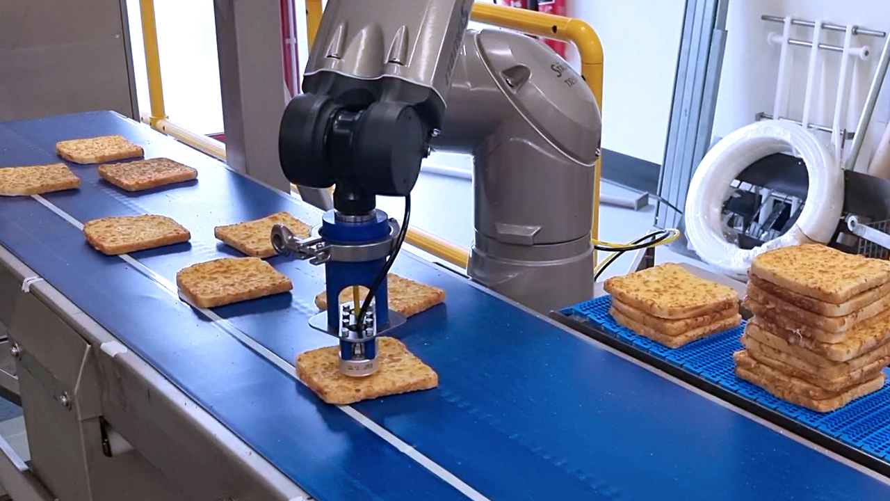 Food Assembly Robotics